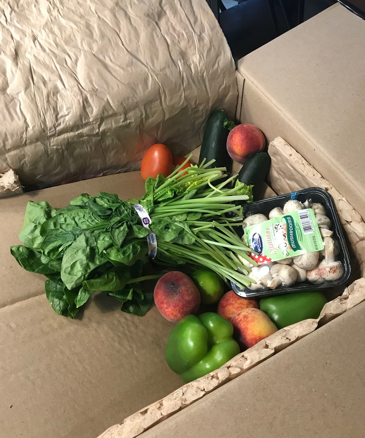 General – Deep in the Loblollies